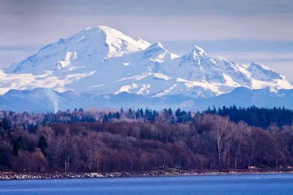 Tiana Boyd - WDD 230 - Web Frontend Development